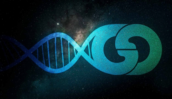 A evolução da marca GeniusDesign: 14 anos de história - GeniusDesign ...